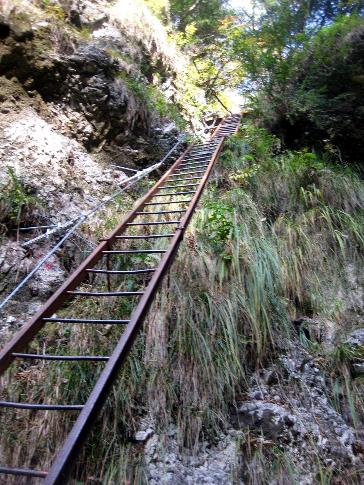 Aided path Burrone Giovanelli